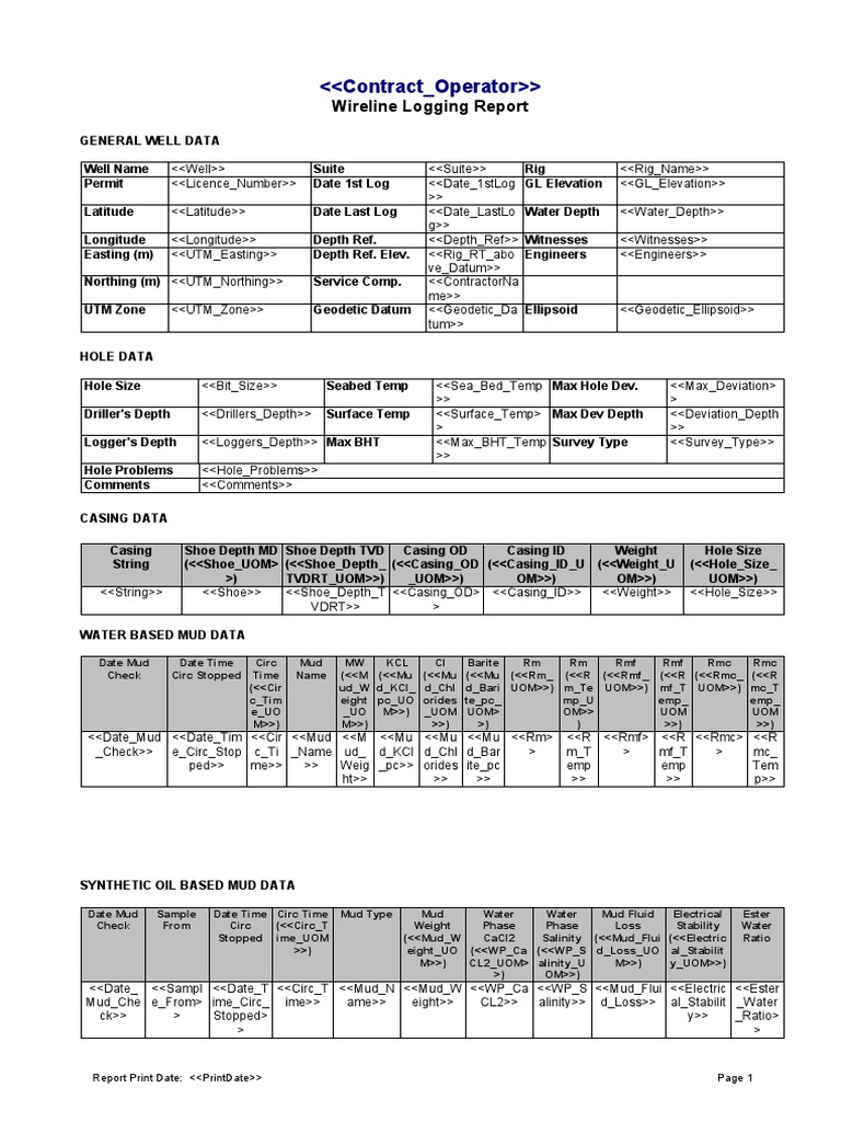 Wireline Logging Report | PDF | Earth Sciences | Geography