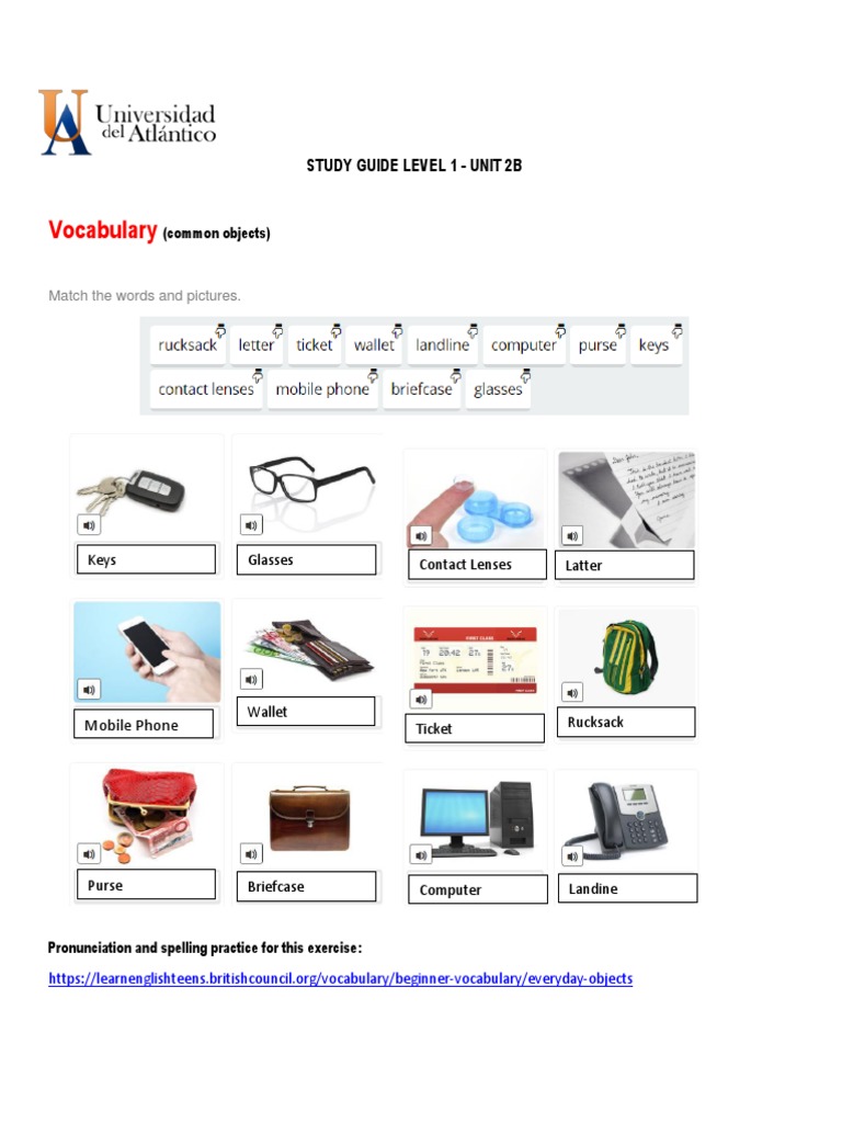 Vocabulary: Study Guide Level 1 - Unit 2B | PDF