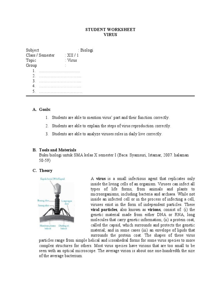 BIP Student Worksheet | PDF | Virology | Virus