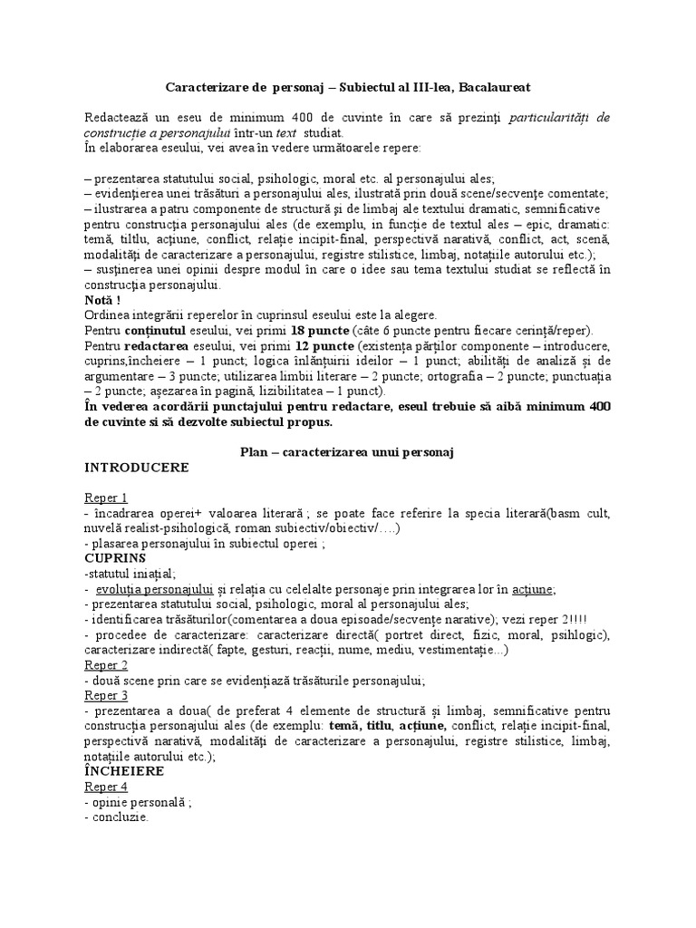 Plan Caracterizare BAC | PDF