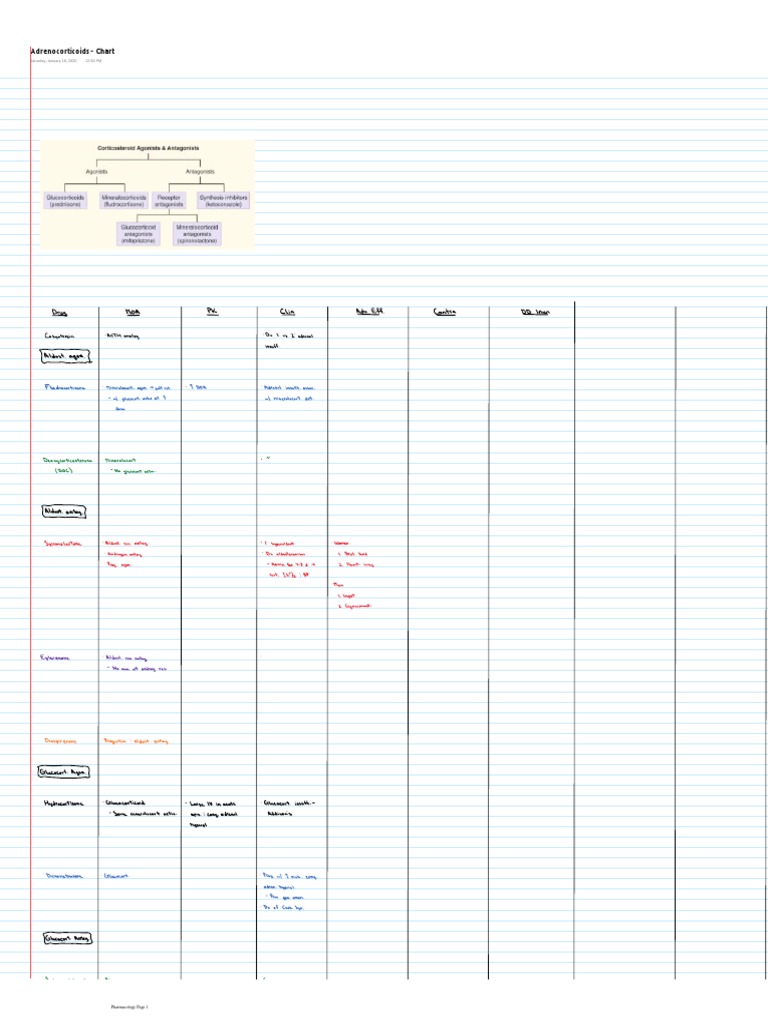 Adrenocorticoids - Chart PDF | PDF