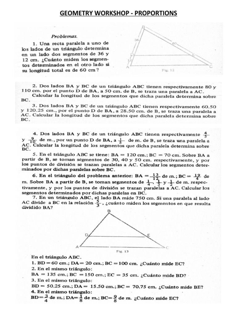 Geometry Workshop: Understanding Proportions | PDF