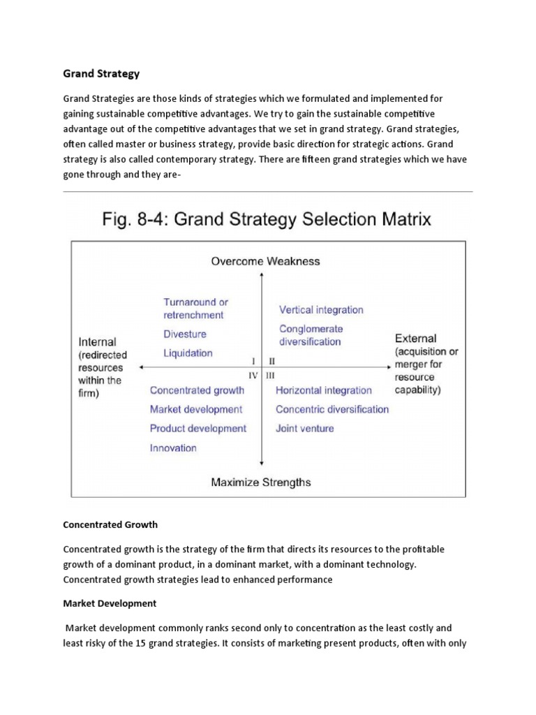 Grand Strategies for Sustainable Competitive Advantage: An Analysis of ...