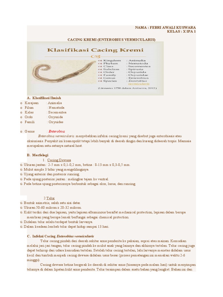 Cacing Kremi Biologi | PDF