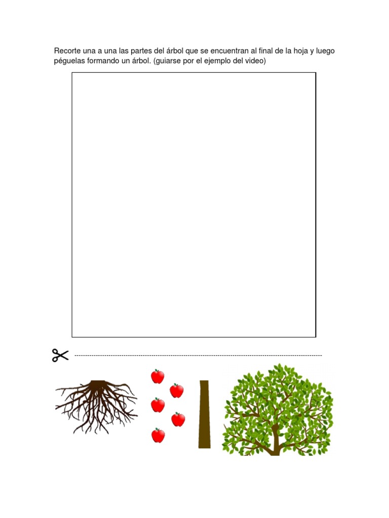 Ficha de Trabajo Partes de Una Planta | PDF