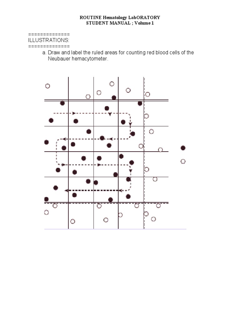 Illustrations: A. Draw and Label The Ruled Areas For Counting Red Blood ...