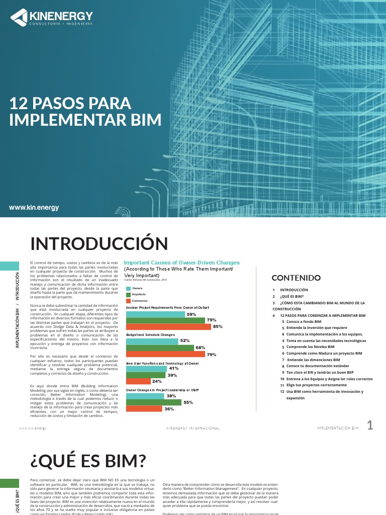 Kinenergy - 12 Pasos para Implementar Bim | PDF | Software | Información