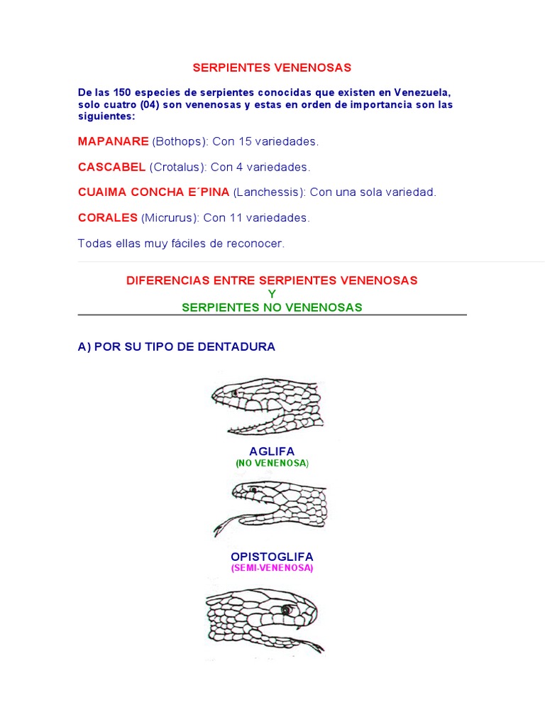 Serpientes venenosas en Venezuela | PDF | Serpiente | Squamata