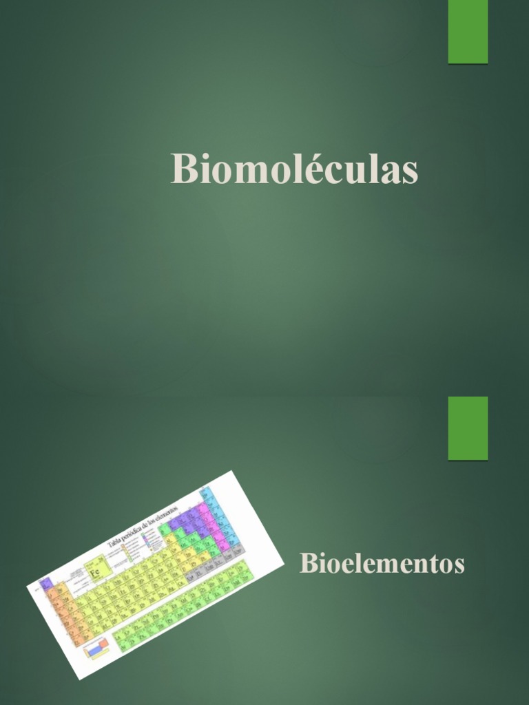 Biomoléculas y Bioelementos | PDF | Estructura proteica | Carbohidratos