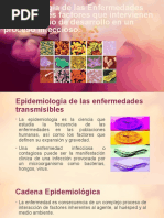 Etapas del Período Patogénico | PDF | Patógeno | Infección