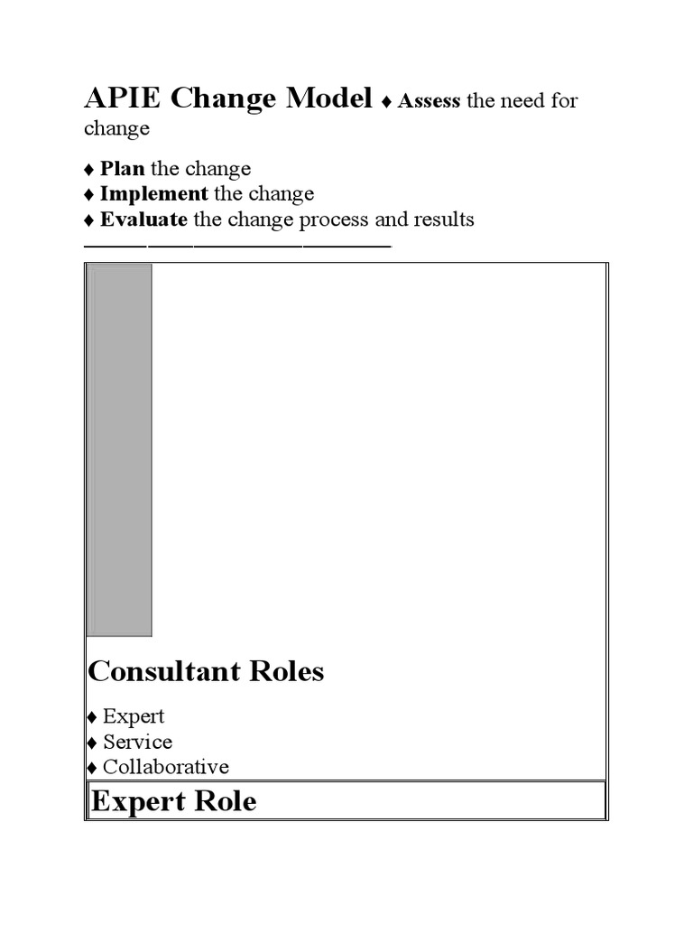 APIE Change Model | PDF
