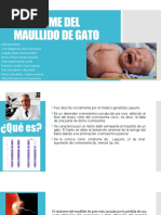 Signo de Murphy | PDF | Vesícula biliar | Gastroenterología
