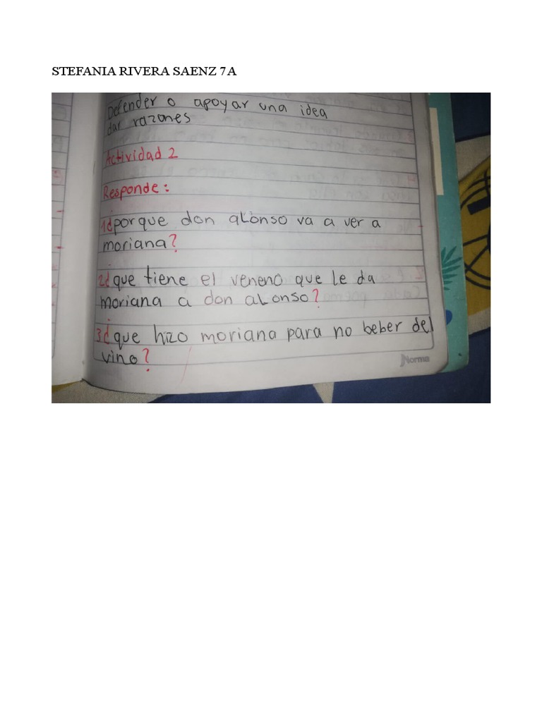 Stefania Rivera Saenz 7A | PDF