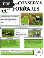 Infografia - Importancia de La Conservacion de Forrajes | PDF | Agricultura | Alimentos