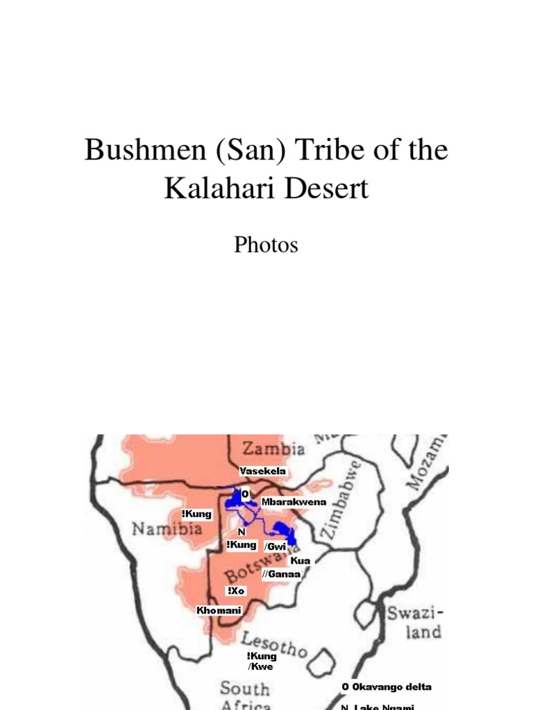Bushmen San Photos PDF | PDF