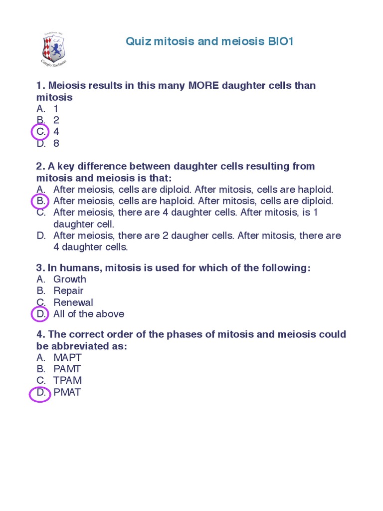 Quiz Meiosis and Mitosis | PDF