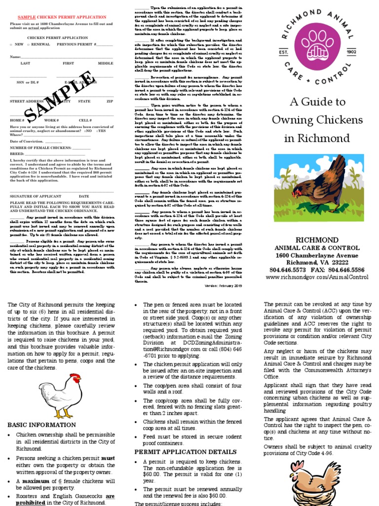 !A Guide To Owning Chickens in Richmond | PDF | Chicken | Cruelty To ...