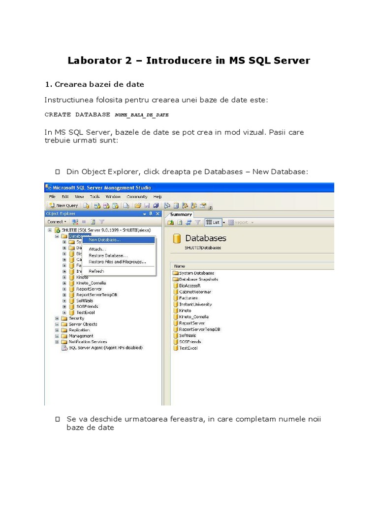 Laborator 2 - Introducere in MS SQL Server | PDF