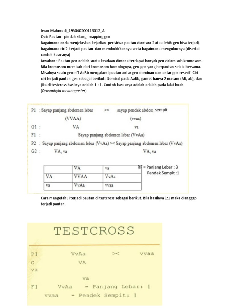 Quiz Pautan-Jarak Genetik - Irvan Mahmudi | PDF | Metode & Bahan Ajar