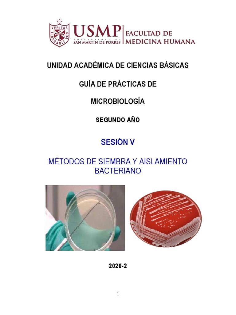 PRACTICA 5 - Métodos de Siembra y Aislamiento Bacteriano (MICRO PRAC) PDF | PDF | Microbiología ...