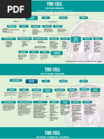 Class 10 Science Ch1 Detailed Notes | PDF | Chemical Reactions | Redox