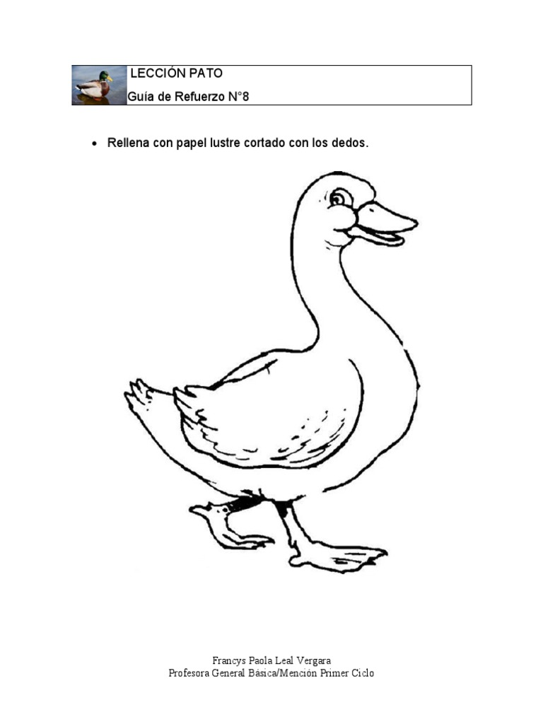 Guía Lección 8 Pato | PDF