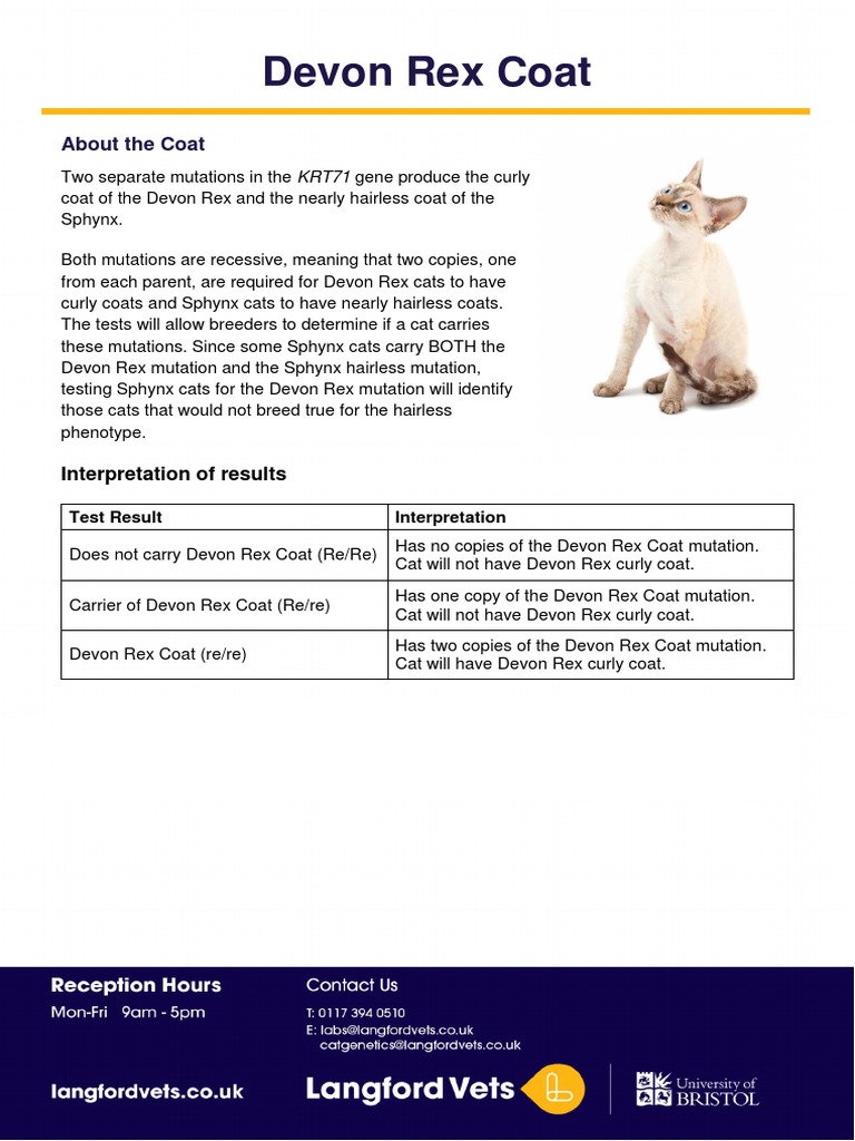 Devon Rex Coat | PDF