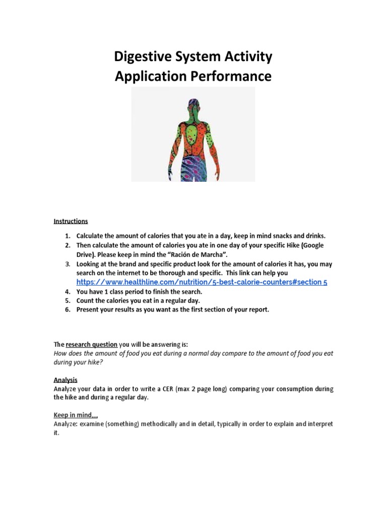 Digestive System CER - 4456174 | PDF | Lunch | Eating Behaviors Of Humans