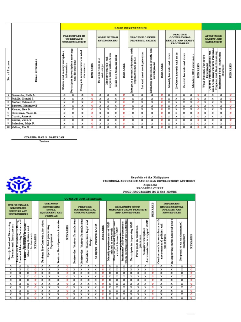 6 Progress and Achievement Chart | PDF | Fermentation | Foods