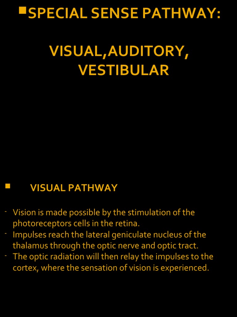 Special Sense Pathway: Visual, Auditory, Vestibular | PDF | Ear ...
