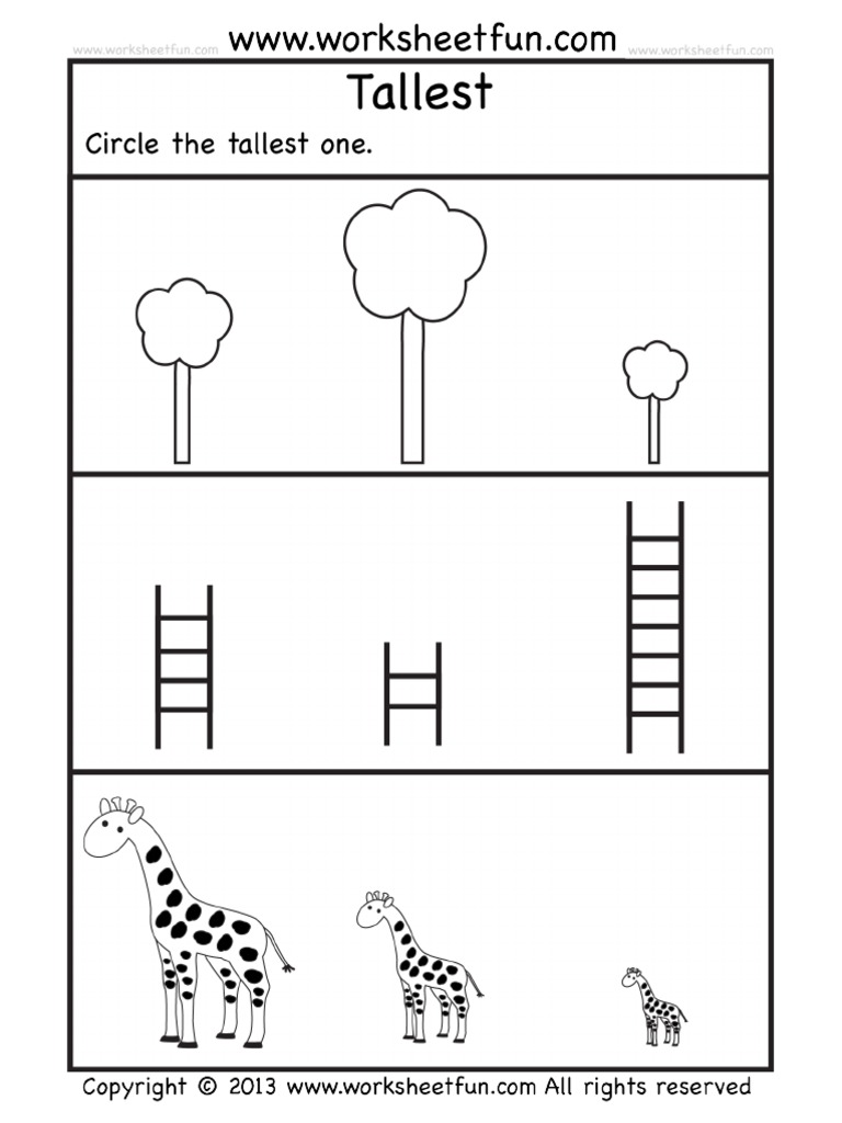 Circle The Tallest One | PDF