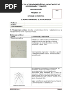 Metodología de Muestreo Macroinvertebrados y Red Surber | PDF ...