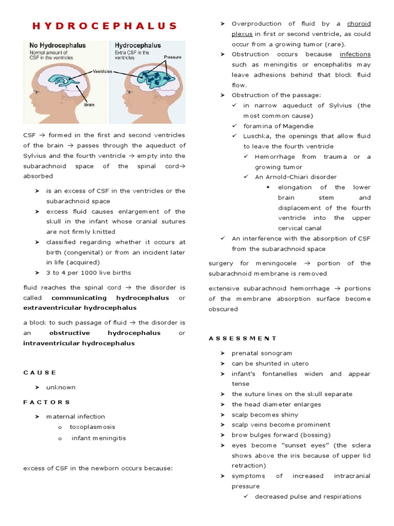 Extraventricular Hydrocephalus | PDF | Cerebrospinal Fluid | Central ...