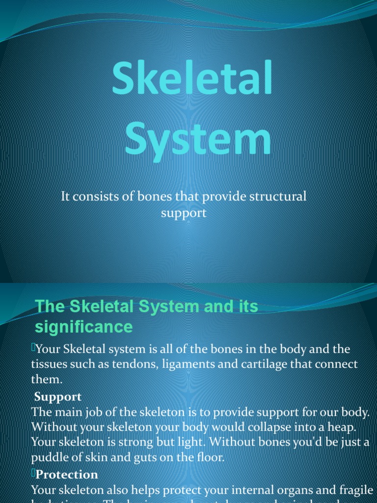 Anatomy - Skeletal System | PDF | Skeleton | Bone