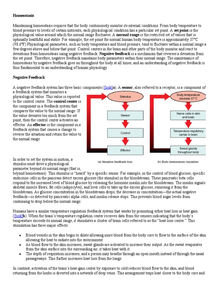 Homeostasis: (Link) | PDF | Homeostasis | Negative Feedback
