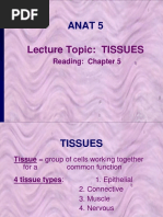 Chapter 4 Tissues Power Point | PDF | Tissue (Biology) | Epithelium