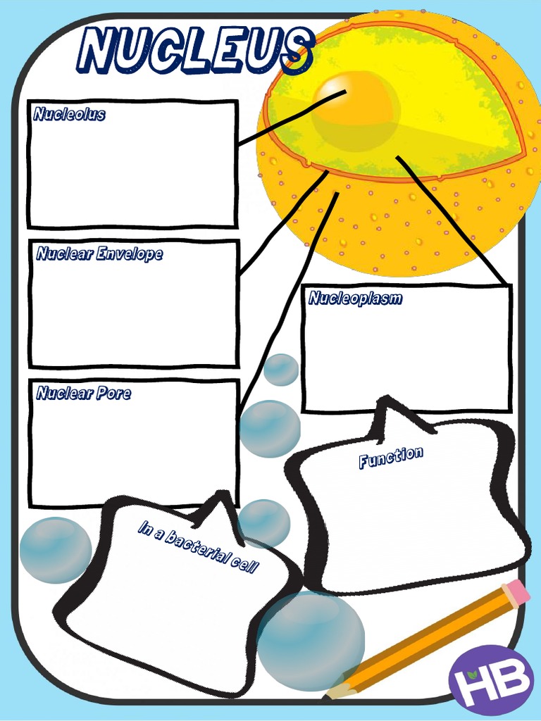 Cell Organelles Doodle Note Pages | PDF | Biochemistry | Chemistry