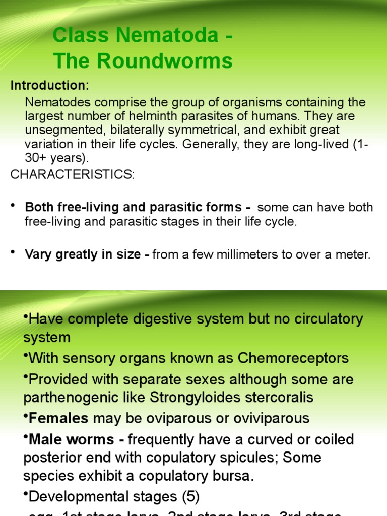 Class Nematoda - The Roundworms | PDF | Nematode | Parasitology