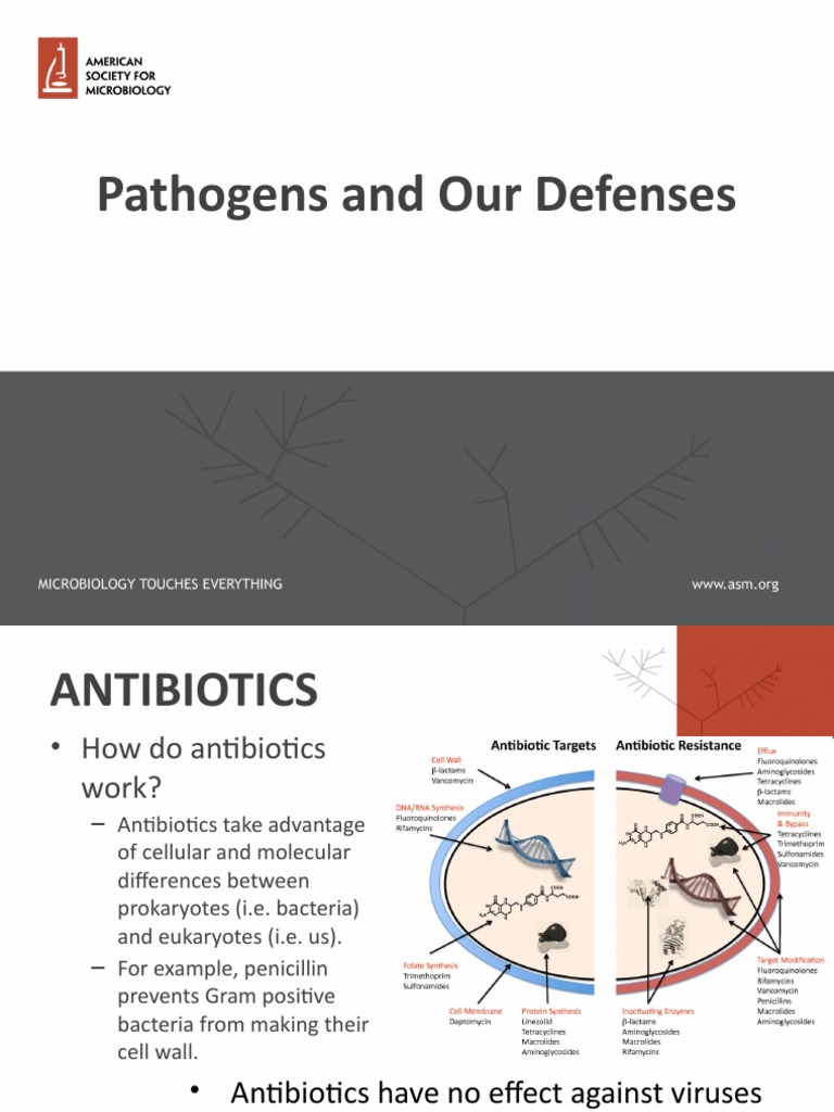 Pathogens and Our Defenses | PDF | Complement System | Mucus