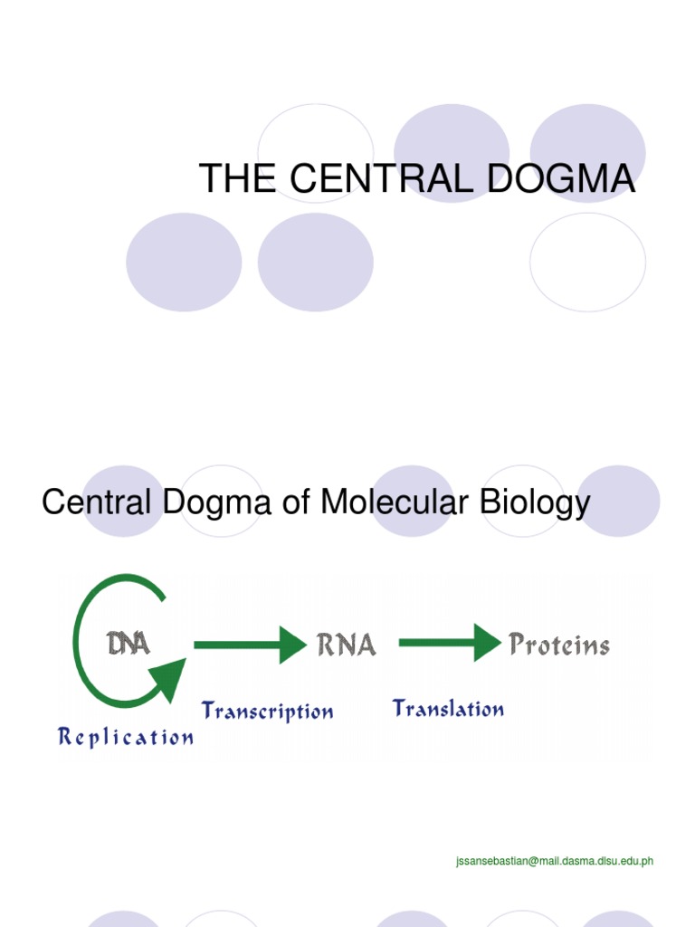 The Central Dogma of Molecular Biology: DNA Replication, Transcription ...