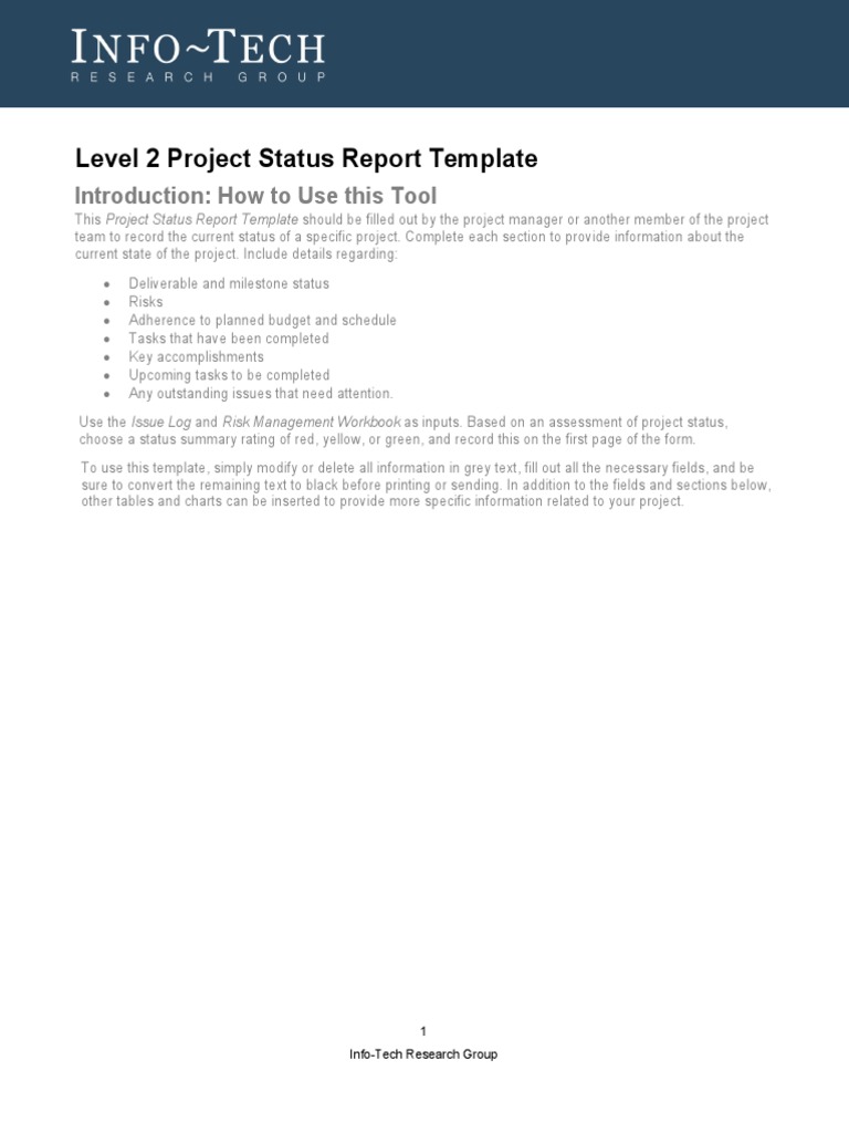 It Level 2 Project Status Report Template | PDF | Business
