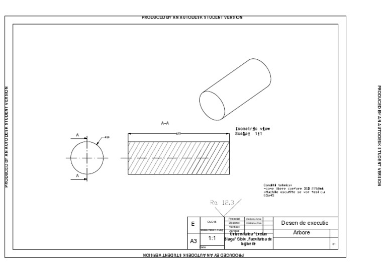 E 1:1 A3 Desen de Executie Arbore: Produced by An Autodesk Student ...