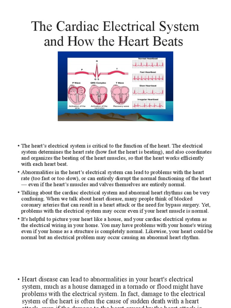 The Cardiac Electrical System and How The Heart | PDF | Atrium (Heart ...