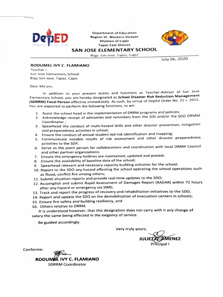 SDRRM Designation | PDF