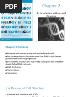 DNA Model (Cut-Out Sheet) | PDF | Dna Replication | Dna