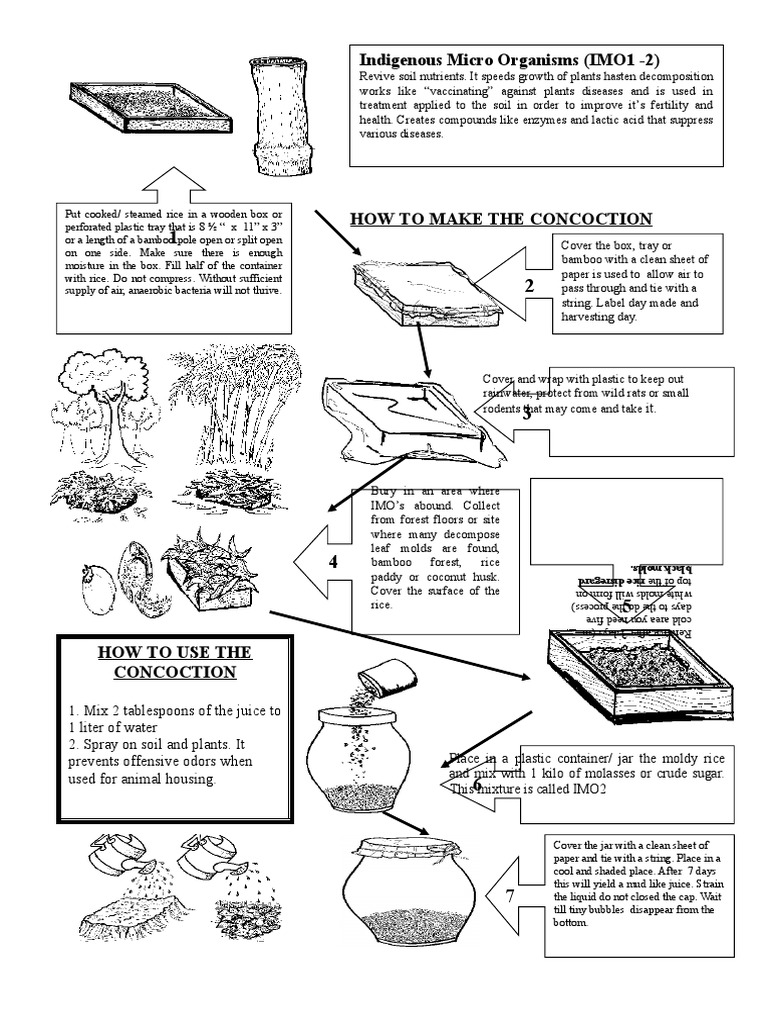 Indigenous Micro Organisms (IMO1 - 2) : How To Make The Concoction ...
