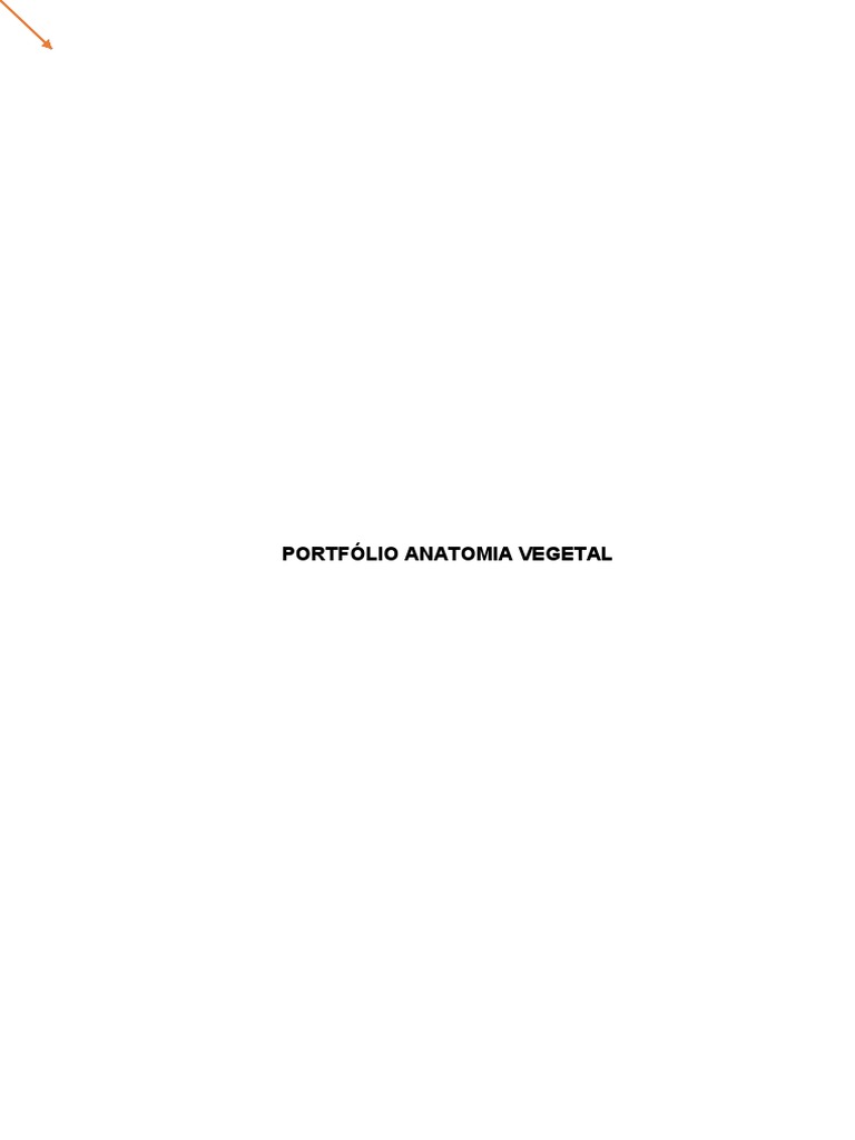 Anatomia Vegetal | PDF | Estoma | Folha
