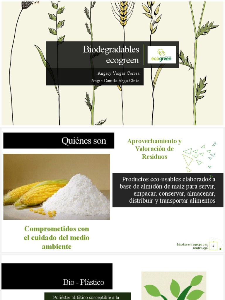 Biodegradables Ecogreen | PDF | Biodegradación | El plastico