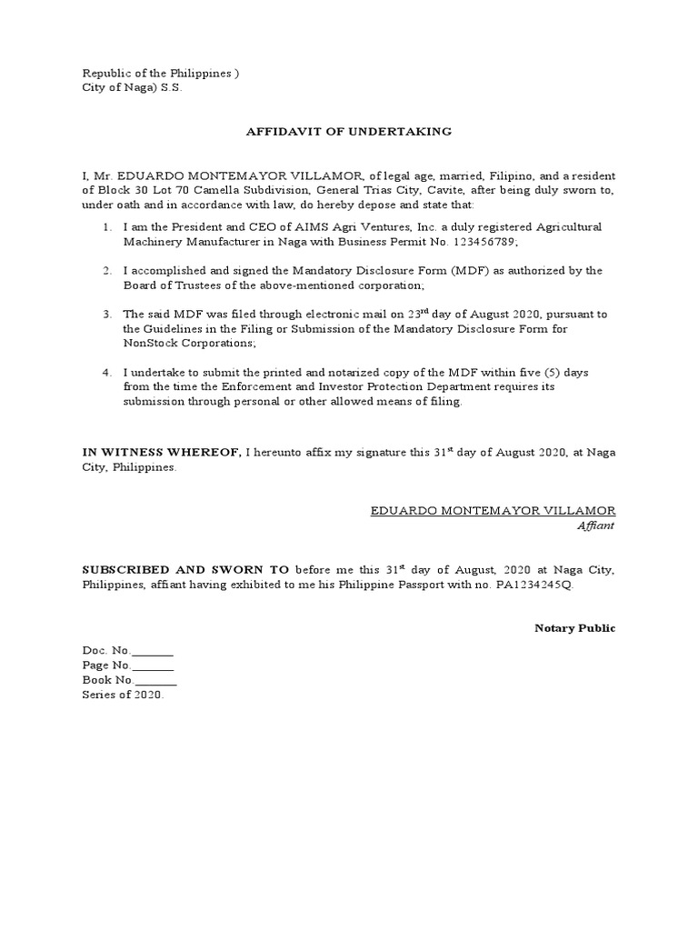 Affidavit of Undertaking | PDF | Law