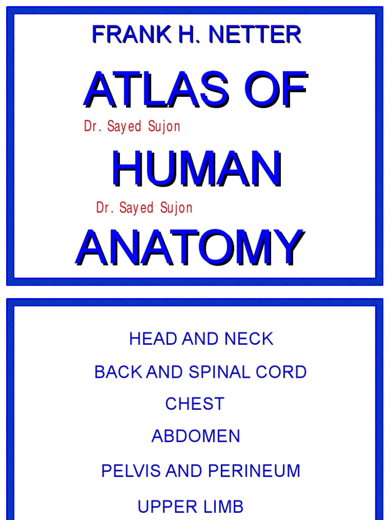 Netter - Atlas of Human Anatomy | PDF | Abdomen | Pelvis